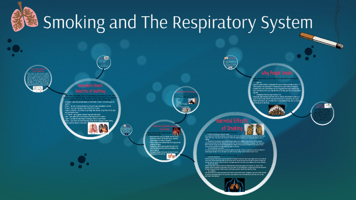 Smoking and The Respiratory System by Felicia Araujo on Prezi