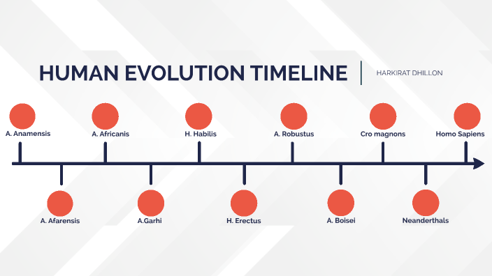 Evolution Timeline by Harkirat Dhillon on Prezi