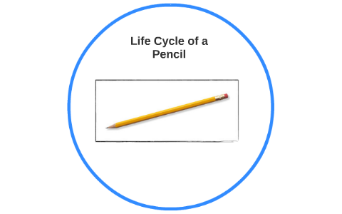 Life Cycle of a Pencil by Ada Thompson on Prezi