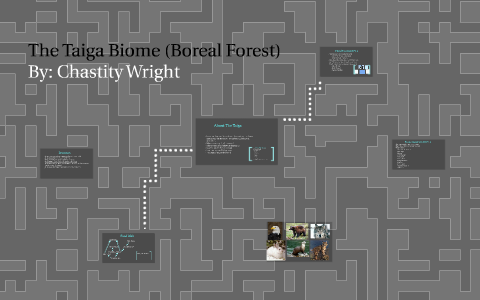 The Taiga Biome (Boreal Forest) by Chastity Wright on Prezi