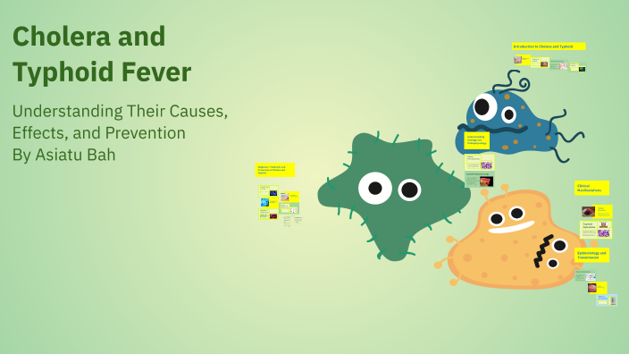 Cholera and Typhoid Fever by Asiatu Bah on Prezi
