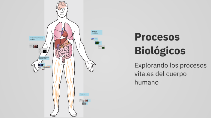 Procesos Biológicos by Aldama Muciño on Prezi