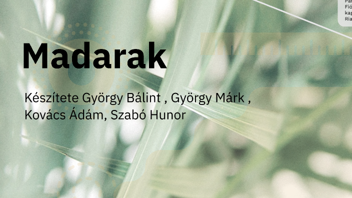 Madarak by Márk György on Prezi