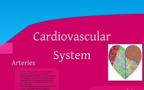 Dual Credit Biology Senior Project by Andie Williams on Prezi