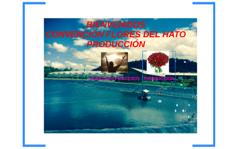 FLORES DEL HATO by Germán González on Prezi
