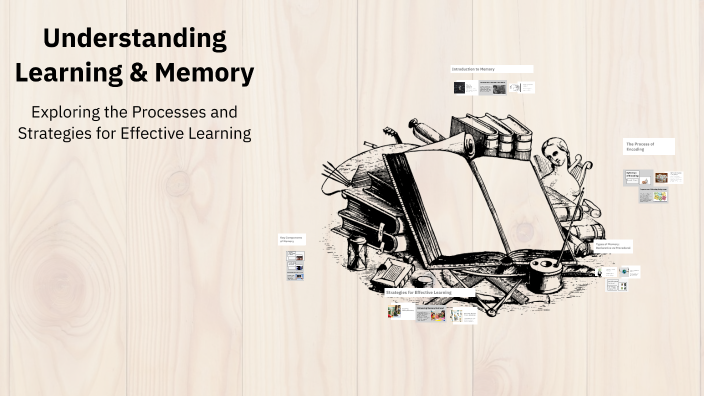 Understanding Learning & Memory by Teyann Martinez on Prezi