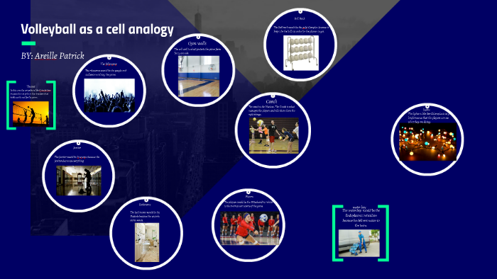 Volleyball as a cell analogy by Arielle Patrick on Prezi
