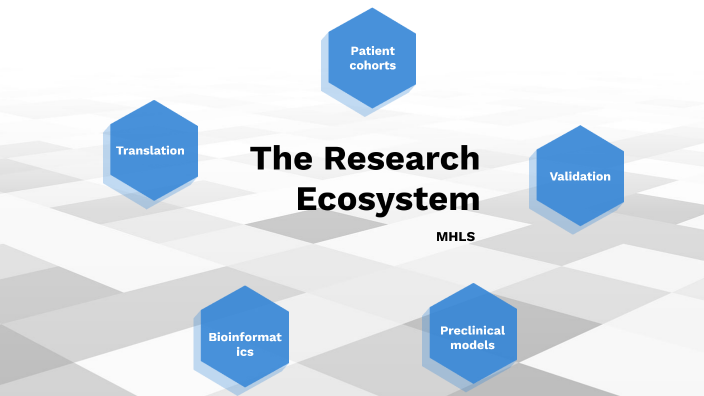 Research Ecosystem by Sarah Scullion on Prezi