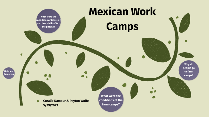 Mexican Work Camps by Coralie Damour on Prezi