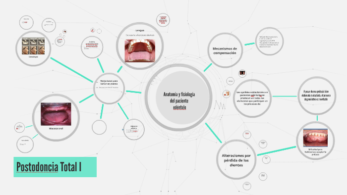Anatomía y fisiología del paciente edéntulo by Celina Martz on Prezi