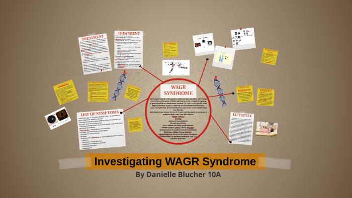 Investigating WAGR Syndrome By Danielle Blucher 10A by Danielle Blucher ...