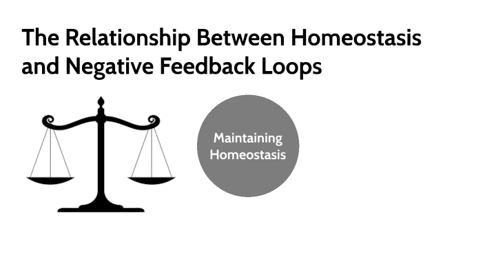 Understanding the Relationship Between Homeostasis and Negative ...