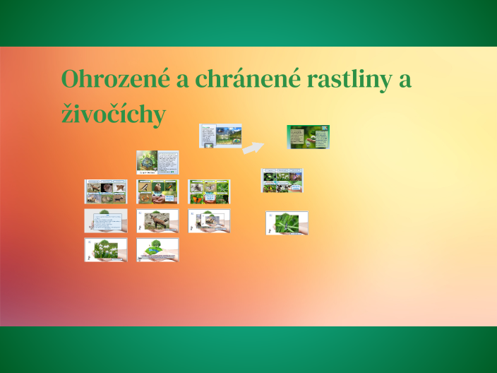 Ohrozené a chránené rastliny a živočíchy by Andrea Gajdošová on Prezi