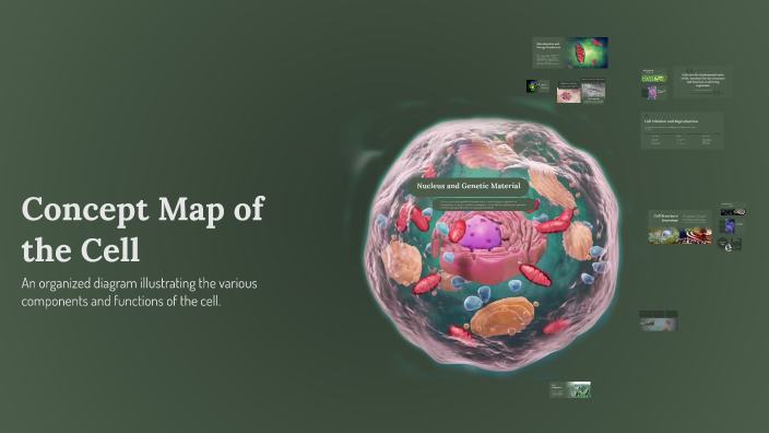 Concept Map of the Cell by Andrey Castro on Prezi