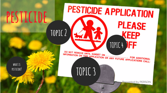 cpp mind map by gripless frost on Prezi