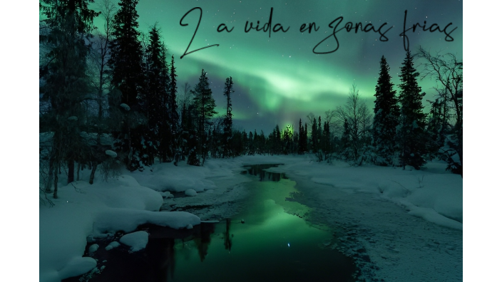 Los biomas de clima frío, inhóspitos y solitarios, están llenos de vida ...