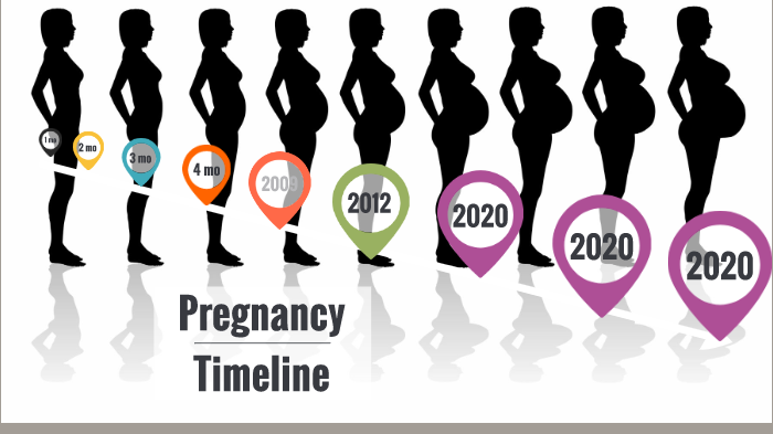 Pregnancy Timeline by A J Alexander on Prezi
