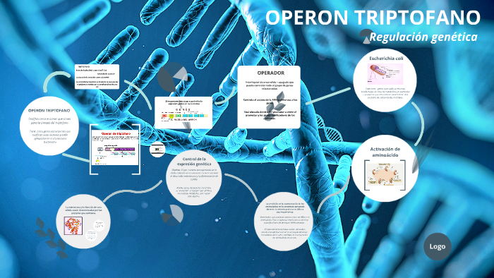 OPERON TRIPTOFANO by Paola Cantero on Prezi
