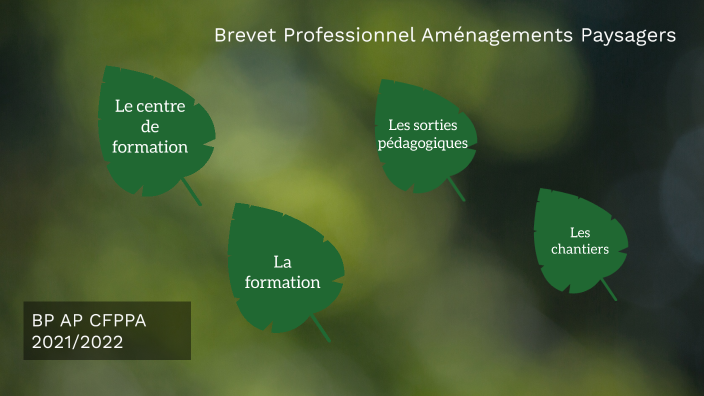 BP AP Adultes by michael telle on Prezi