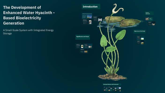 The Development of Enhanced Water Hyacinth - Based Bioelectricity ...