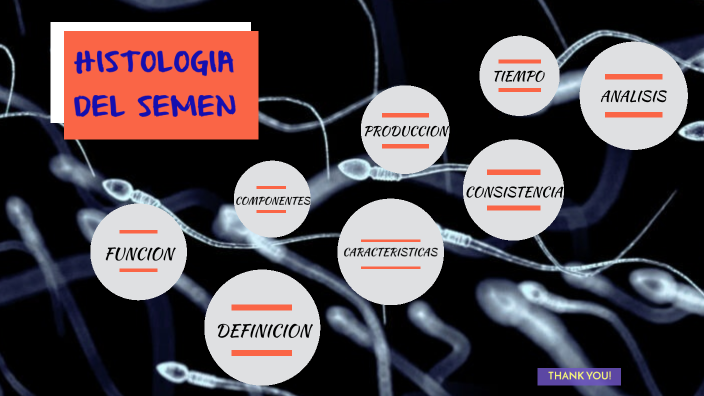 HISTOLOGIA DEL SEMEN by FRida Ferrer on Prezi