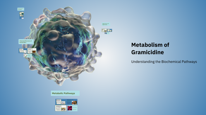 Metabolism of Gramicidine by Priyanka T on Prezi
