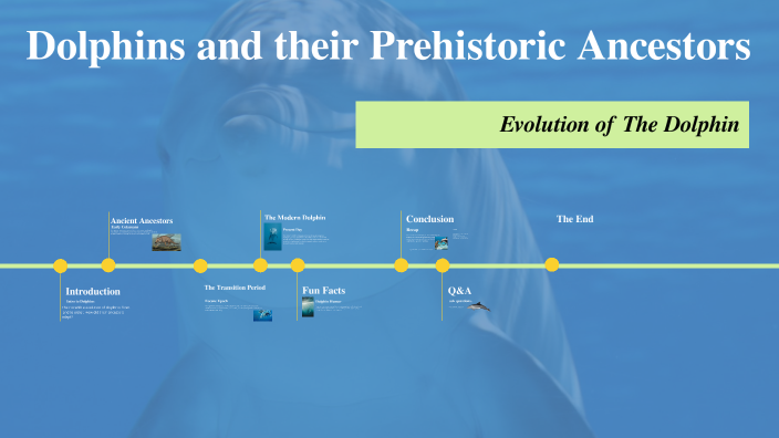 Dolphins and their Prehistoric Ancestors by Christian Quinn on Prezi