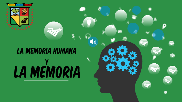 la memoria humana y by SARAHY MV on Prezi