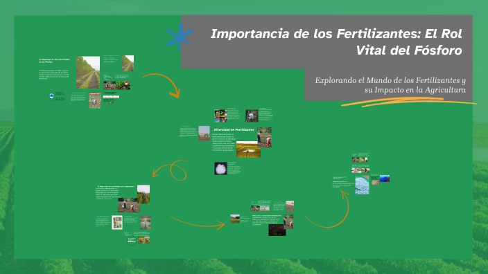 Importancia de los Fertilizantes by Alan Borner on Prezi