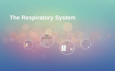 The Respiratory System by Sharissa Fuller on Prezi