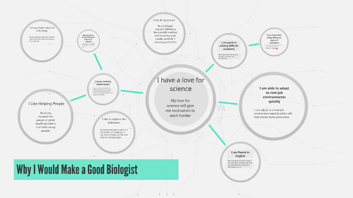 why you should hire me by david alphin on Prezi