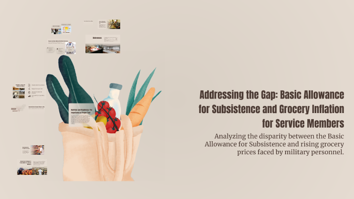 Addressing the Gap: Basic Allowance for Subsistence and Grocery ...
