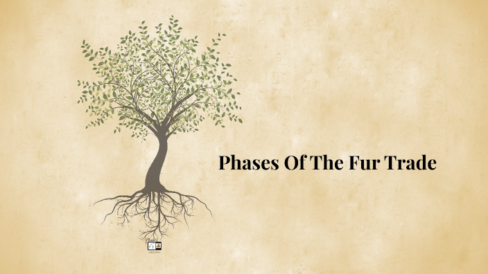 Phases Of The Fur Trade by Matthew Fang on Prezi