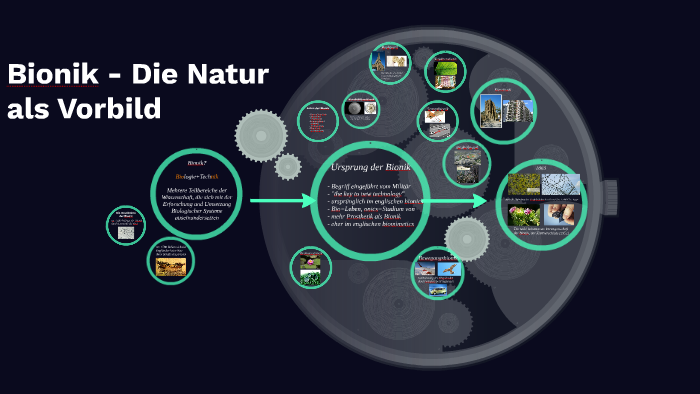 Bionik - Vorbilder aus der Natur by Vincent Seiling on Prezi