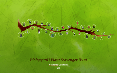 Biology 10H Plant Scavenger Hunt by Vincente Gonzales on Prezi