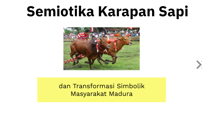 KERAPAN SAPI by MILKI KHAIR AL FIRDAUS on Prezi