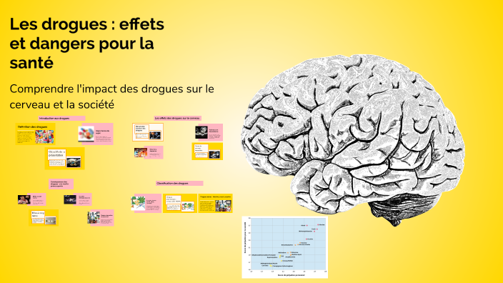 Les drogues : effets et dangers pour la santé by emma simler on Prezi