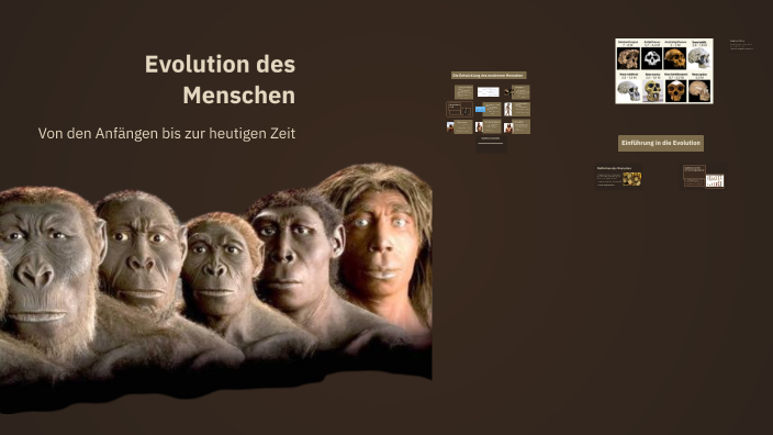 Evolution des Menschen by Anh Nguyen on Prezi