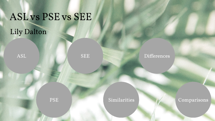 ASL vs PSE vs SEE by Lily Dalton on Prezi