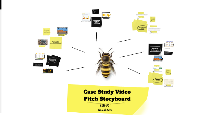 Case Study Video Pitch Storyboard by Nawal Aden on Prezi
