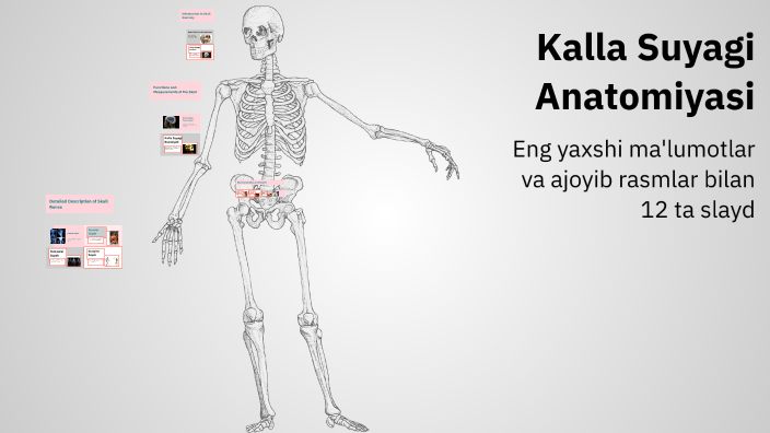 Kalla Suyagi Anatomiyasi by Suhrob Jozilov on Prezi
