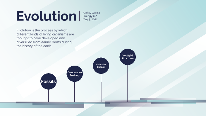 Evolution Graphic Organizer by Aleksy Garcia on Prezi