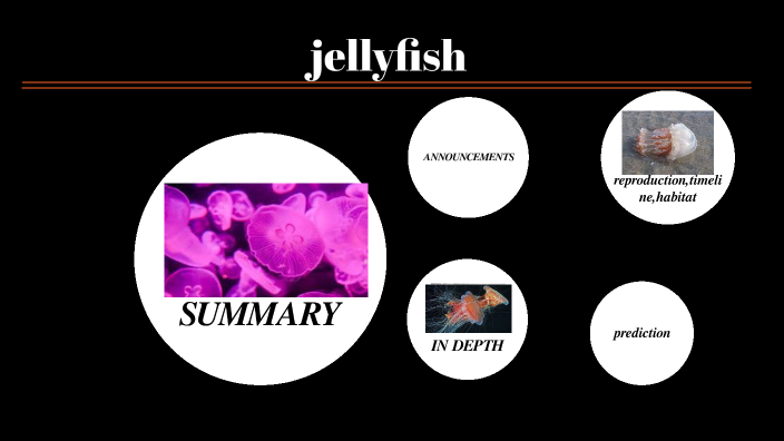 jelly fish evolution by Anaisa Lopez on Prezi