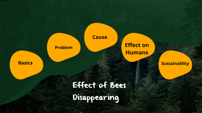 Bee Impact by Jeffrey Franco on Prezi