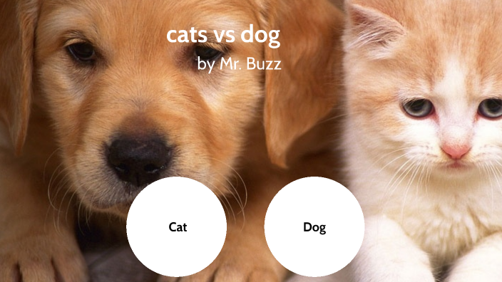 dog v cats by Toby Crowell on Prezi