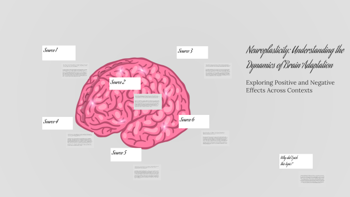 Neuroplasticity: Understanding the Dynamics of Brain Adaptation by ...