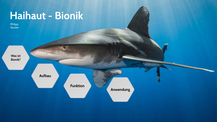 Haihaut-Bionik by p s on Prezi