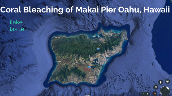 Coral Reefs by Blake Basuel on Prezi