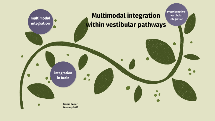 Multimodal integration within vestibular pathways by Jasmin Kaiser on Prezi