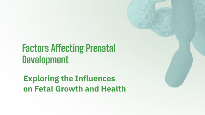 Factors Affecting Prenatal Development by Insiya Najmi on Prezi